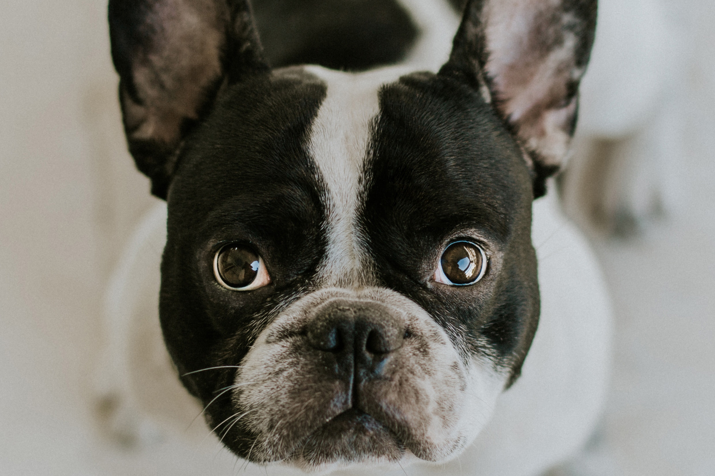 Hypertype : la prise de conscience se renforce